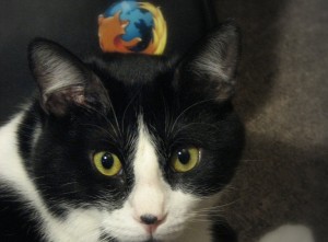 Cats Love Firefox Support | Blog of Metrics