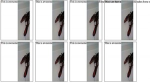 Cross-Browser Inline-Block | Mozilla Web Development