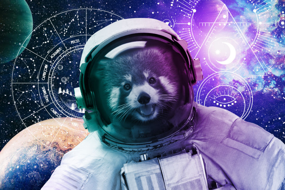 Perseid meteor shower on your mind? Check out these online resources ...