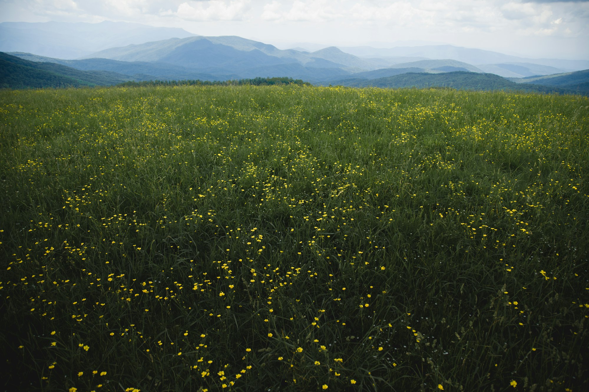 Open Source In The Age Of LLMs